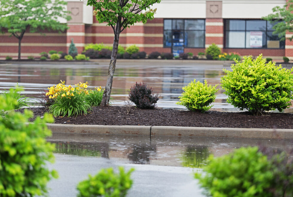 Andres Landscape | Landscaping Services in Portland, Salem, & Vancouver